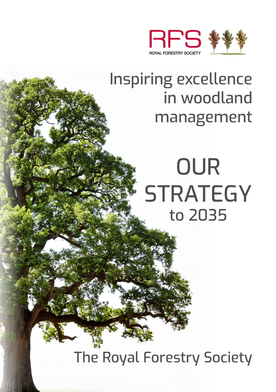 RFS launches Strategy to 2035 – Small Woodland Owners' Group (SWOG)